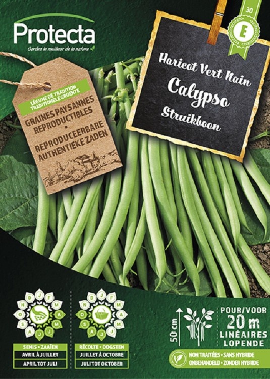 Haricot Vert Nain CALYPSO ( Protecta E ) | Central Jardin